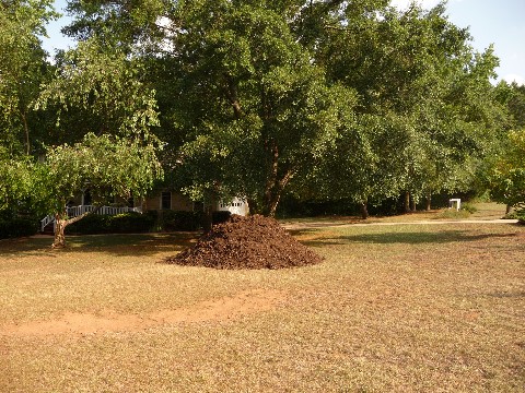 More Mulching and Vertical Mulching