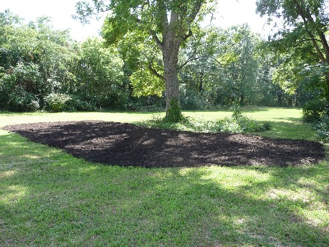 More Mulching and Vertical Mulching