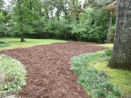 More Mulching and Vertical Mulching