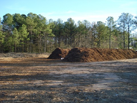 Composting Athens Georgia